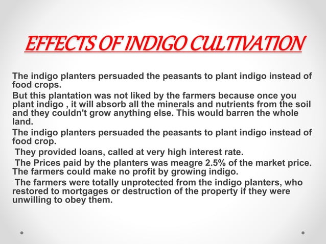 1668526681006_indigo project file eng class 12.pptx | Agriculture ...