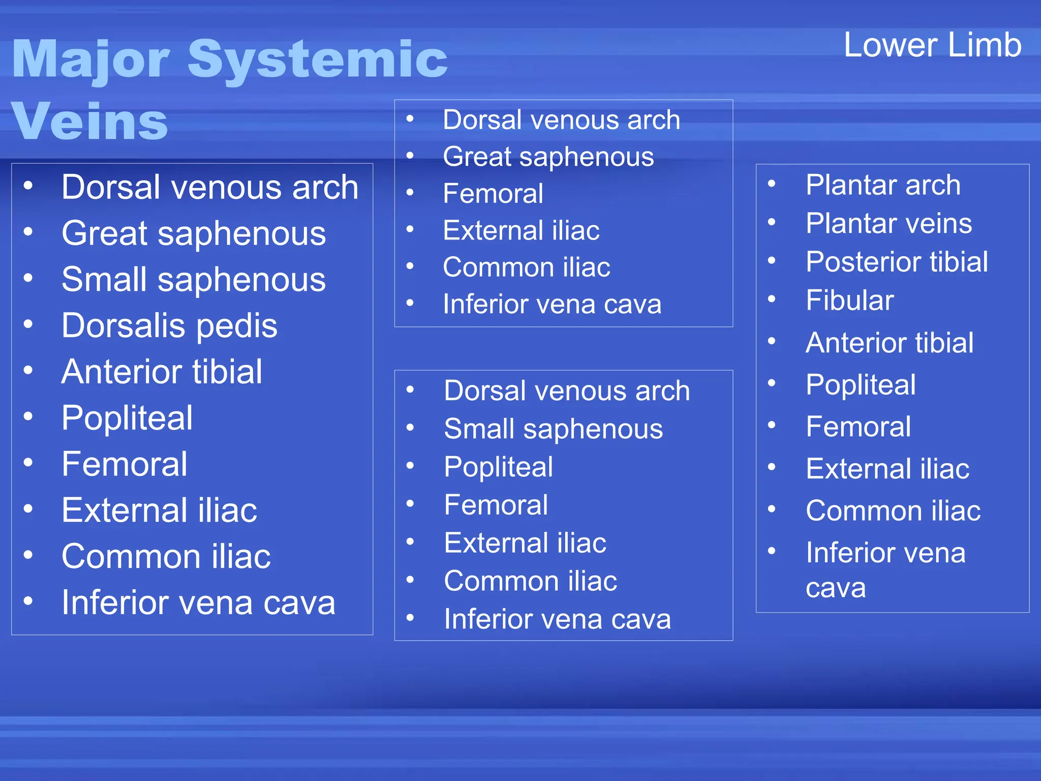 systemic and venous pulmonary circulation .ppt
