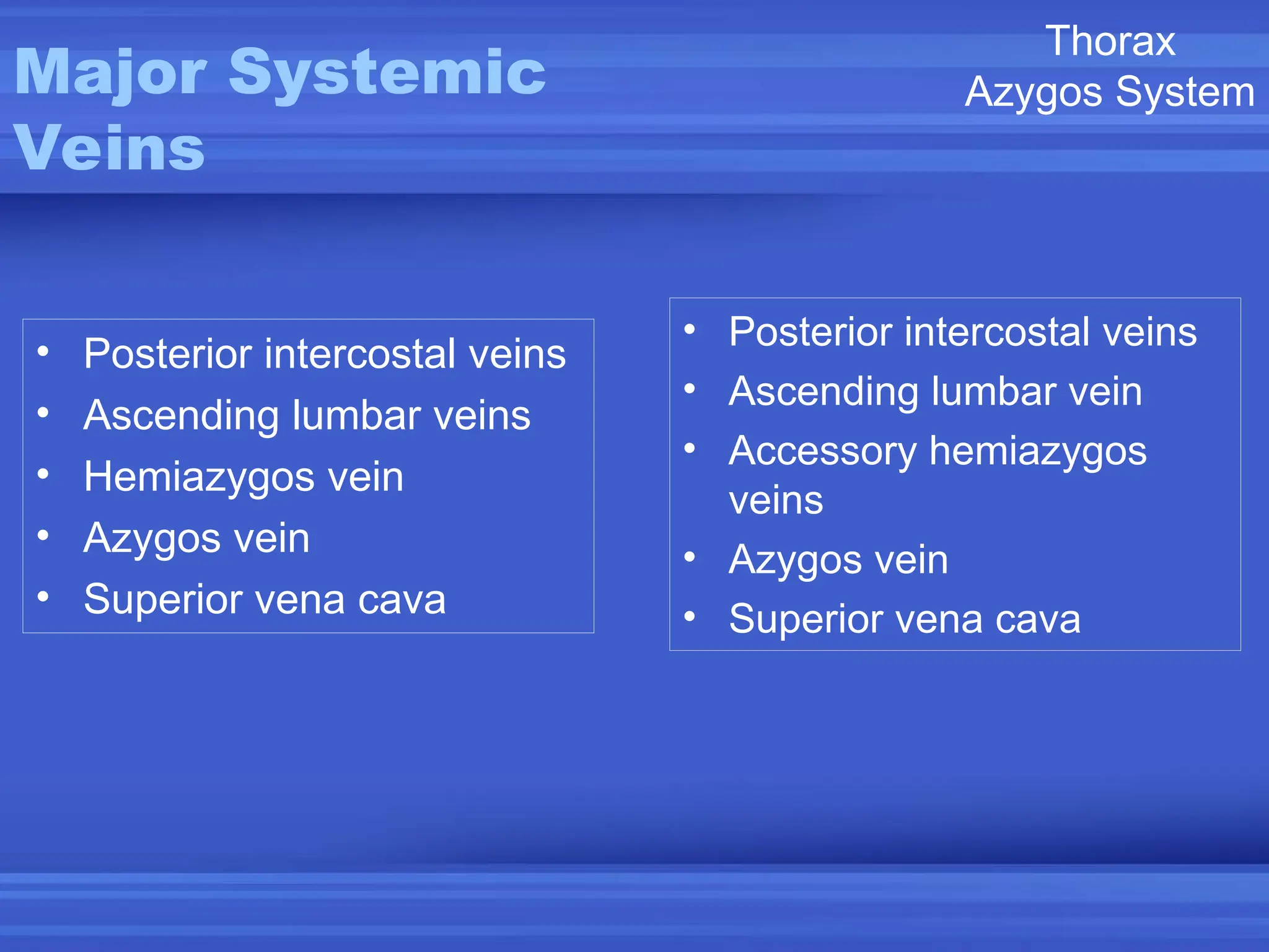 systemic and venous pulmonary circulation .ppt