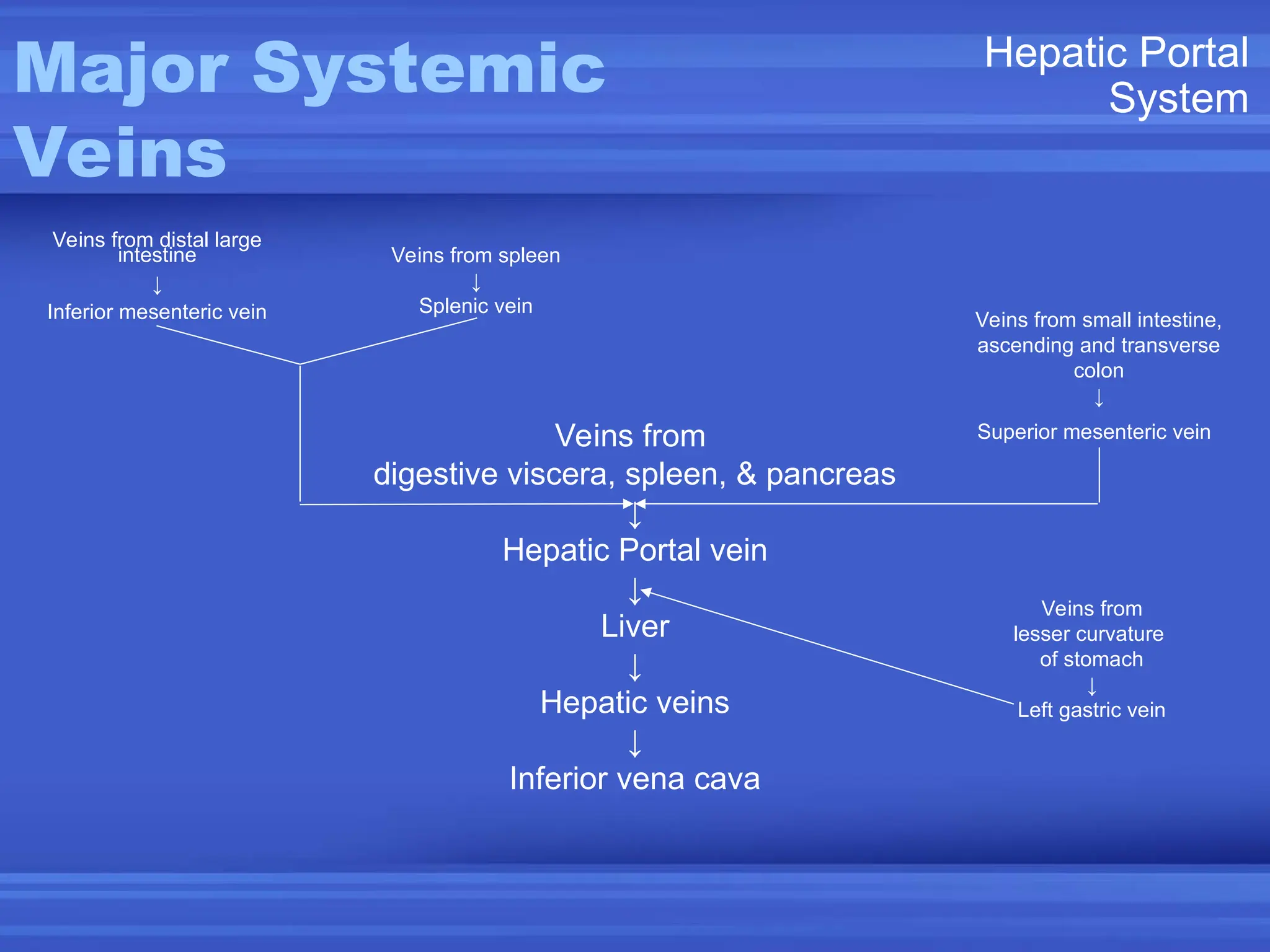 systemic and venous pulmonary circulation .ppt