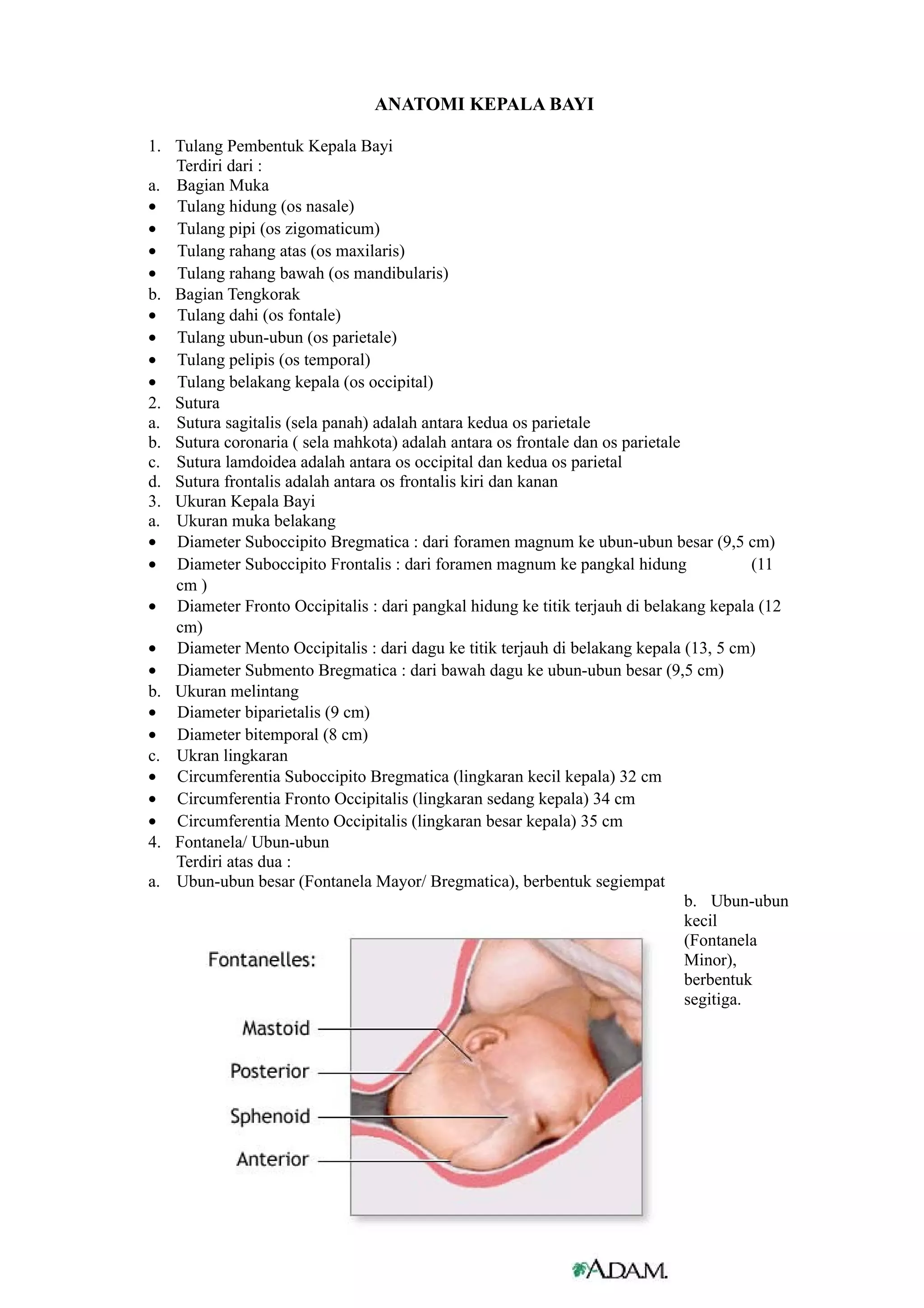 166927247 anatomi-kepala-bayi | PDF