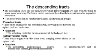 cns tracts and tracts of cns and functions | PPT