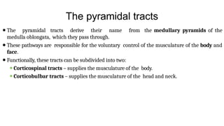 cns tracts and tracts of cns and functions | PPT