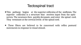 cns tracts and tracts of cns and functions | PPT