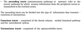cns tracts and tracts of cns and functions | PPT