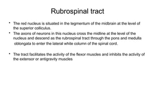cns tracts and tracts of cns and functions | PPT