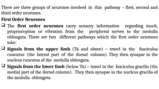 cns tracts and tracts of cns and functions | PPTX
