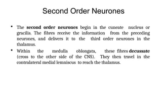 cns tracts and tracts of cns and functions | PPTX