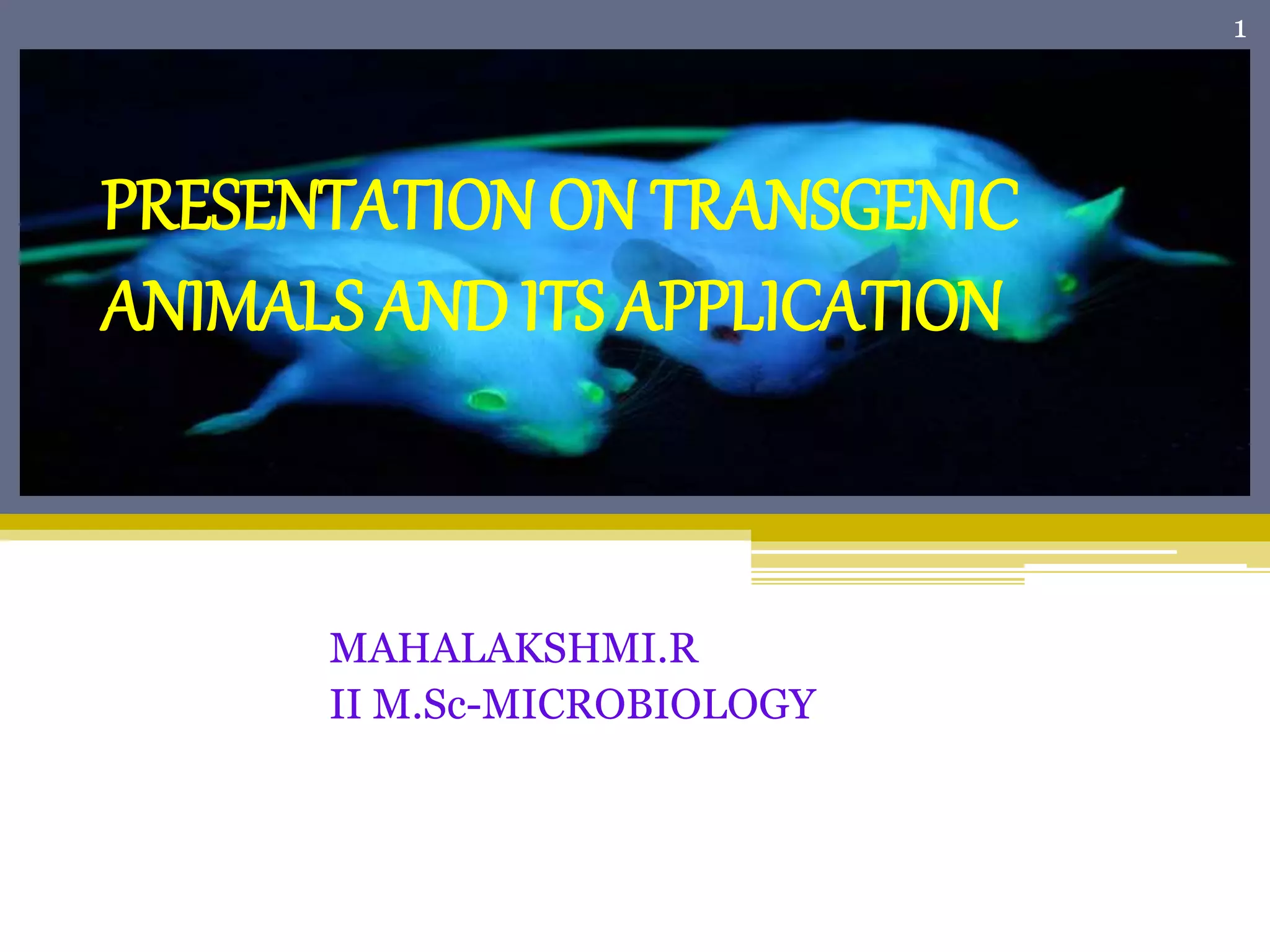 TRANSGENIC ANIMALS AND ITS APPLICATION | PPTX