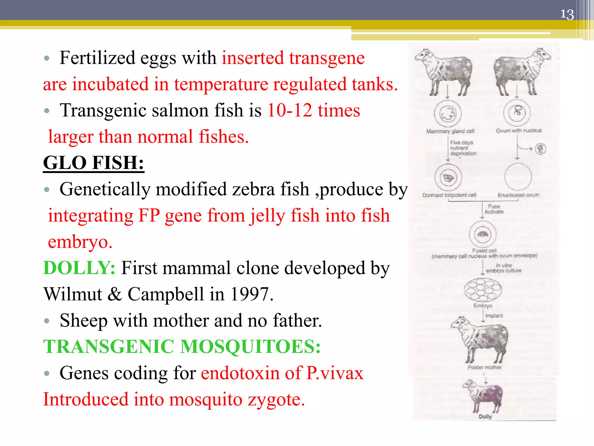 TRANSGENIC ANIMALS AND ITS APPLICATION | PPTX