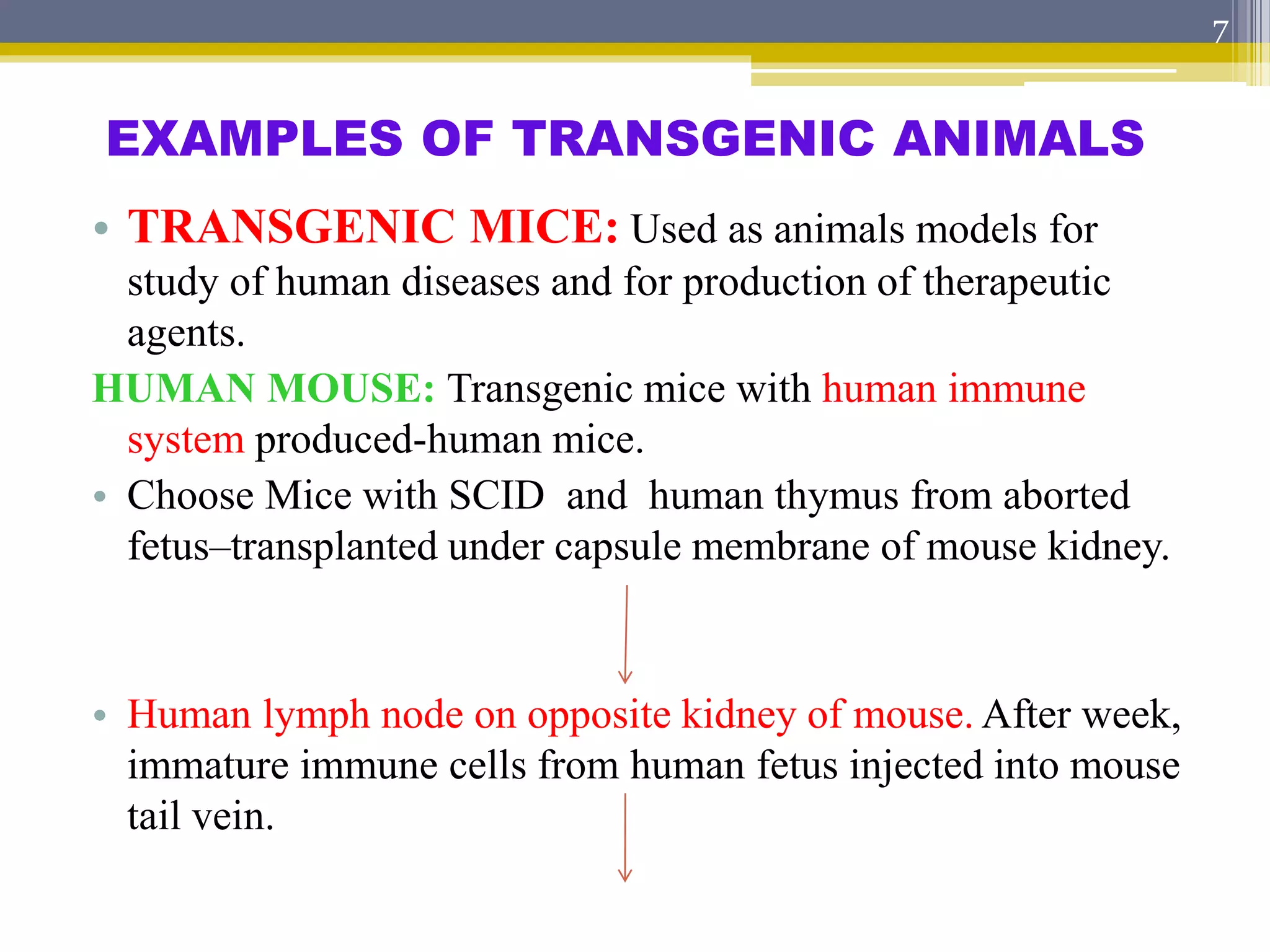 TRANSGENIC ANIMALS AND ITS APPLICATION | PPTX