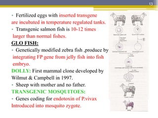 TRANSGENIC ANIMALS AND ITS APPLICATION | PPTX