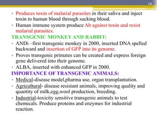 TRANSGENIC ANIMALS AND ITS APPLICATION | PPTX