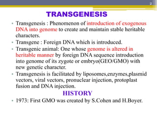 TRANSGENIC ANIMALS AND ITS APPLICATION | PPTX