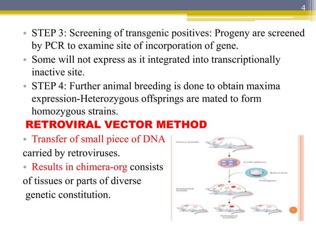 TRANSGENIC ANIMALS AND ITS APPLICATION | PPTX