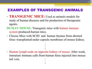 TRANSGENIC ANIMALS AND ITS APPLICATION | PPTX