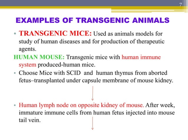 TRANSGENIC ANIMALS AND ITS APPLICATION | PPTX