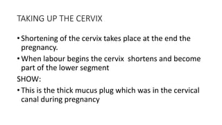 1671682284934_PHYSIOLOGY OF FIRST STAGE OF LABOUR.pptx