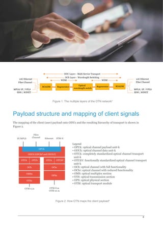 16731_altran_otn_wp_01_q3fy18_new.pdf