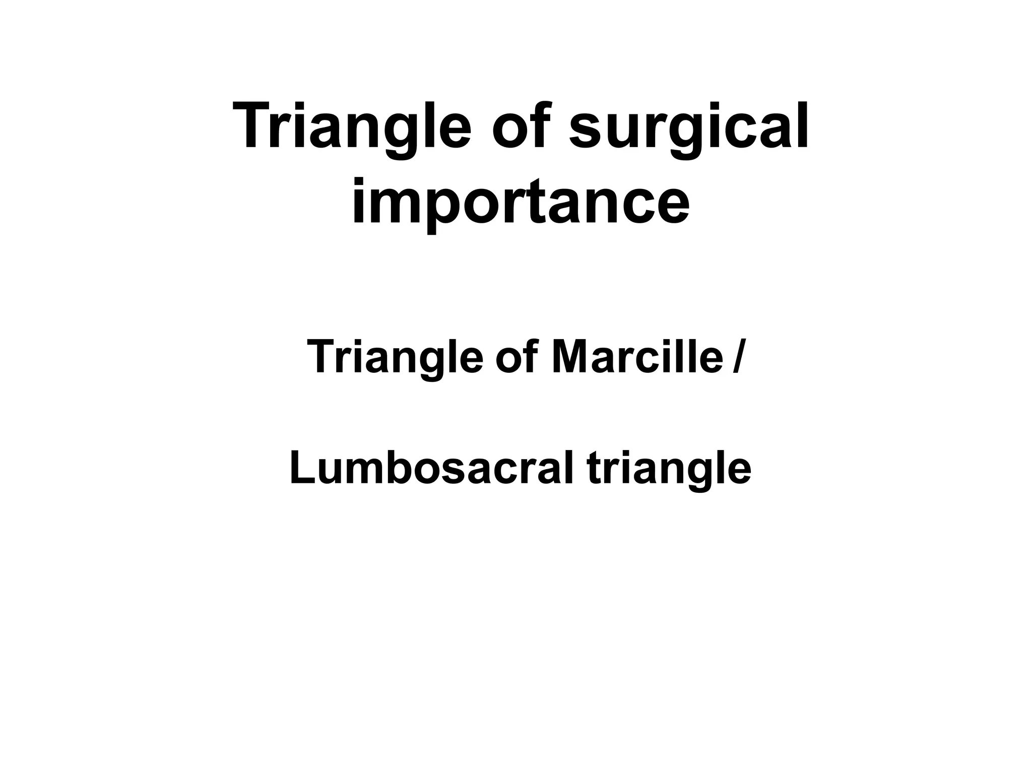 posterior abdominal wall.pdf