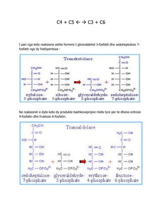 Cikli Pentozik | PDF