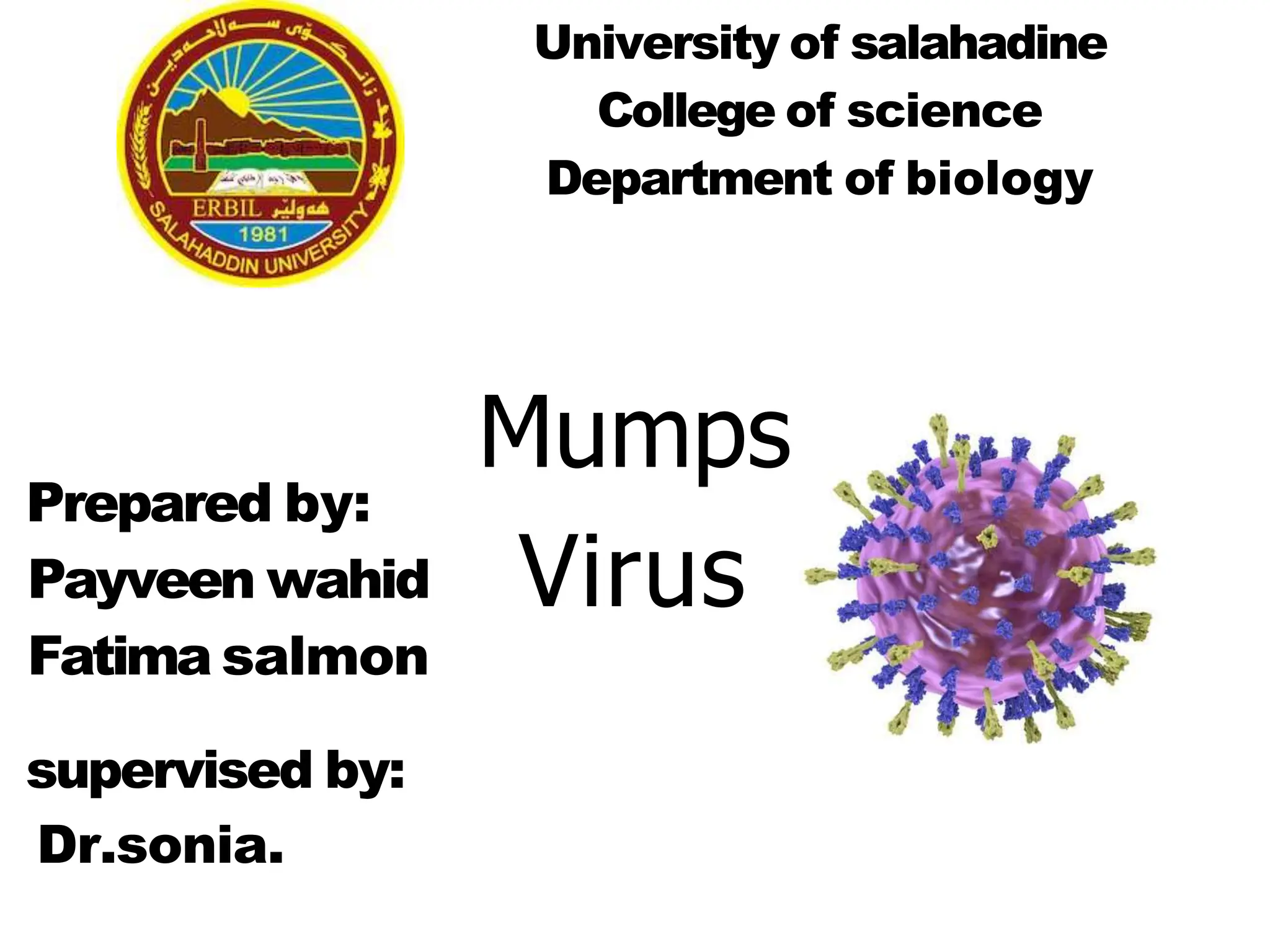 Mumps virus.pptx