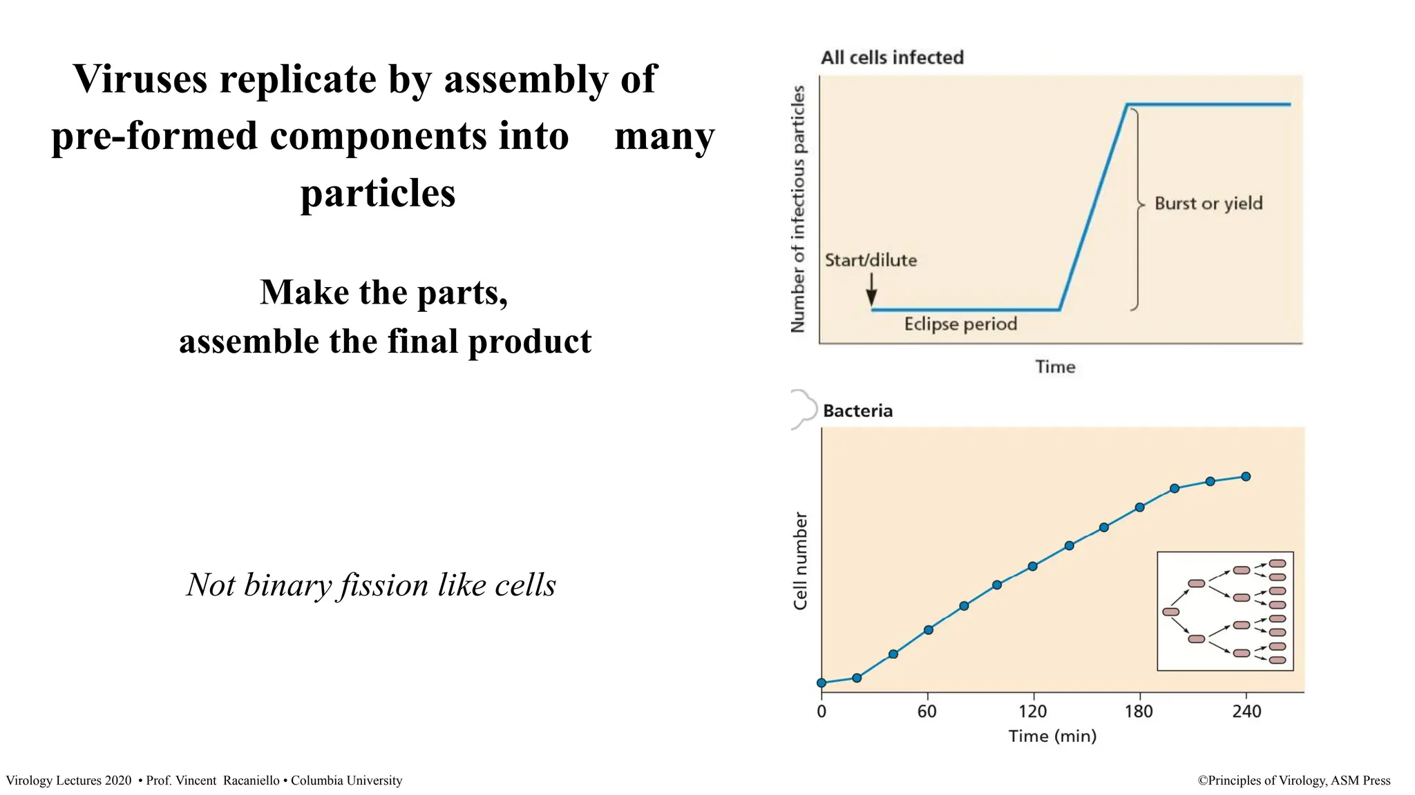 Introduction_to_Virology_Medicaltechnology | PDF