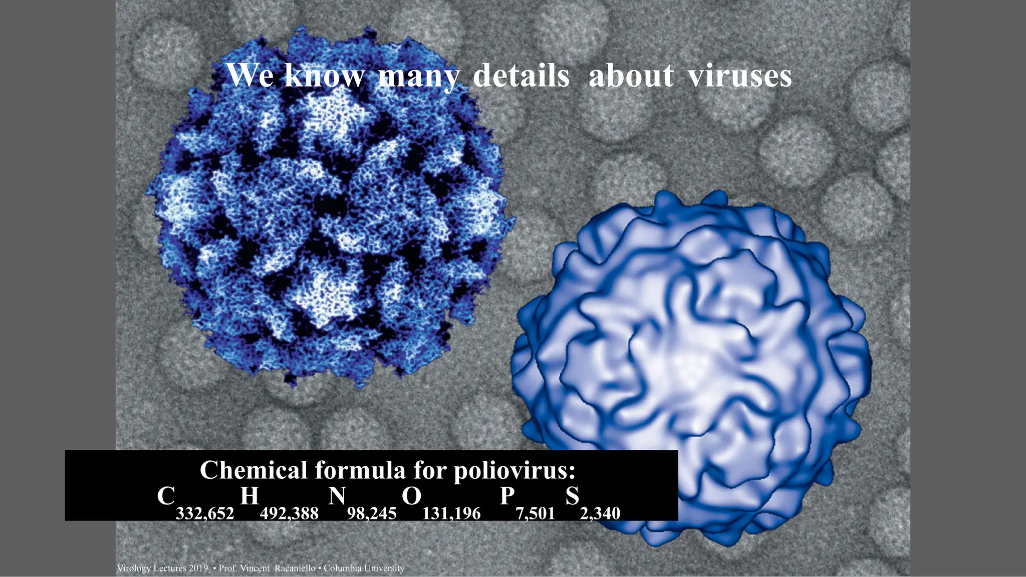 Introduction_to_Virology_Medicaltechnology | PDF