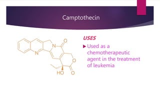 Quinoline pharmaceutical organic chemistry III..pptx