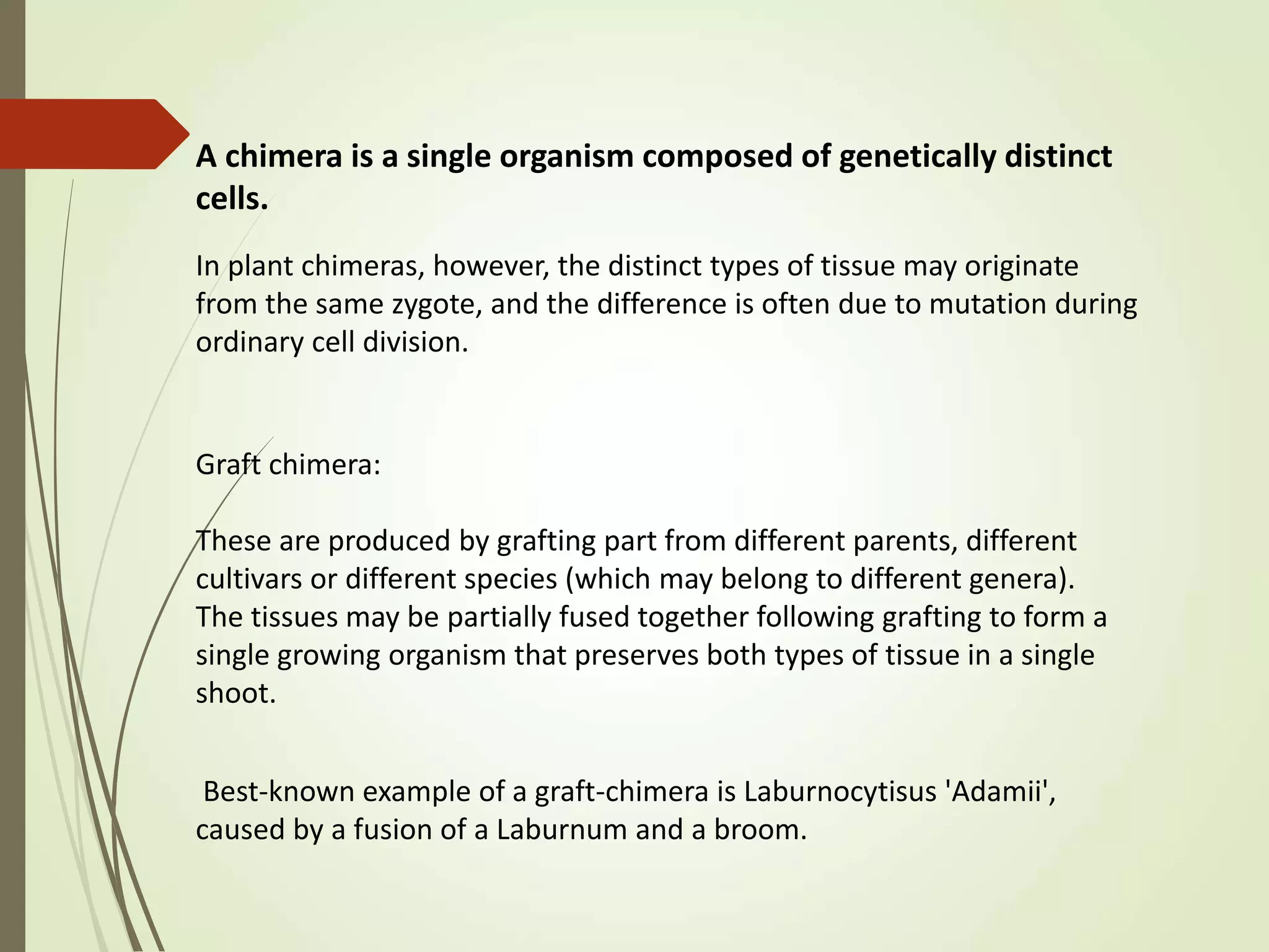 endoduplication and chimera.ppt