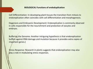 endoduplication and chimera.ppt