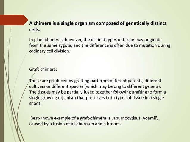 endoduplication and chimera.ppt | Biological Sciences | Science