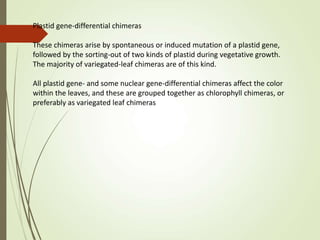 endoduplication and chimera.ppt
