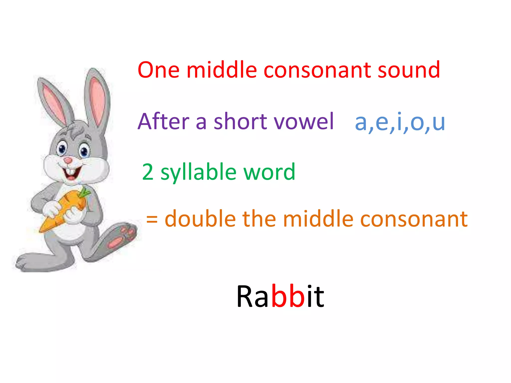 1684739649361_rabit rule.pptx