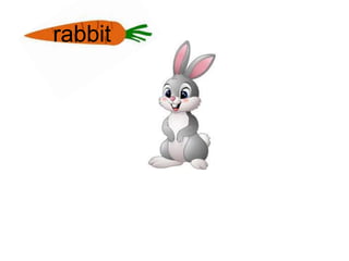 1684739649361_rabit rule.pptx