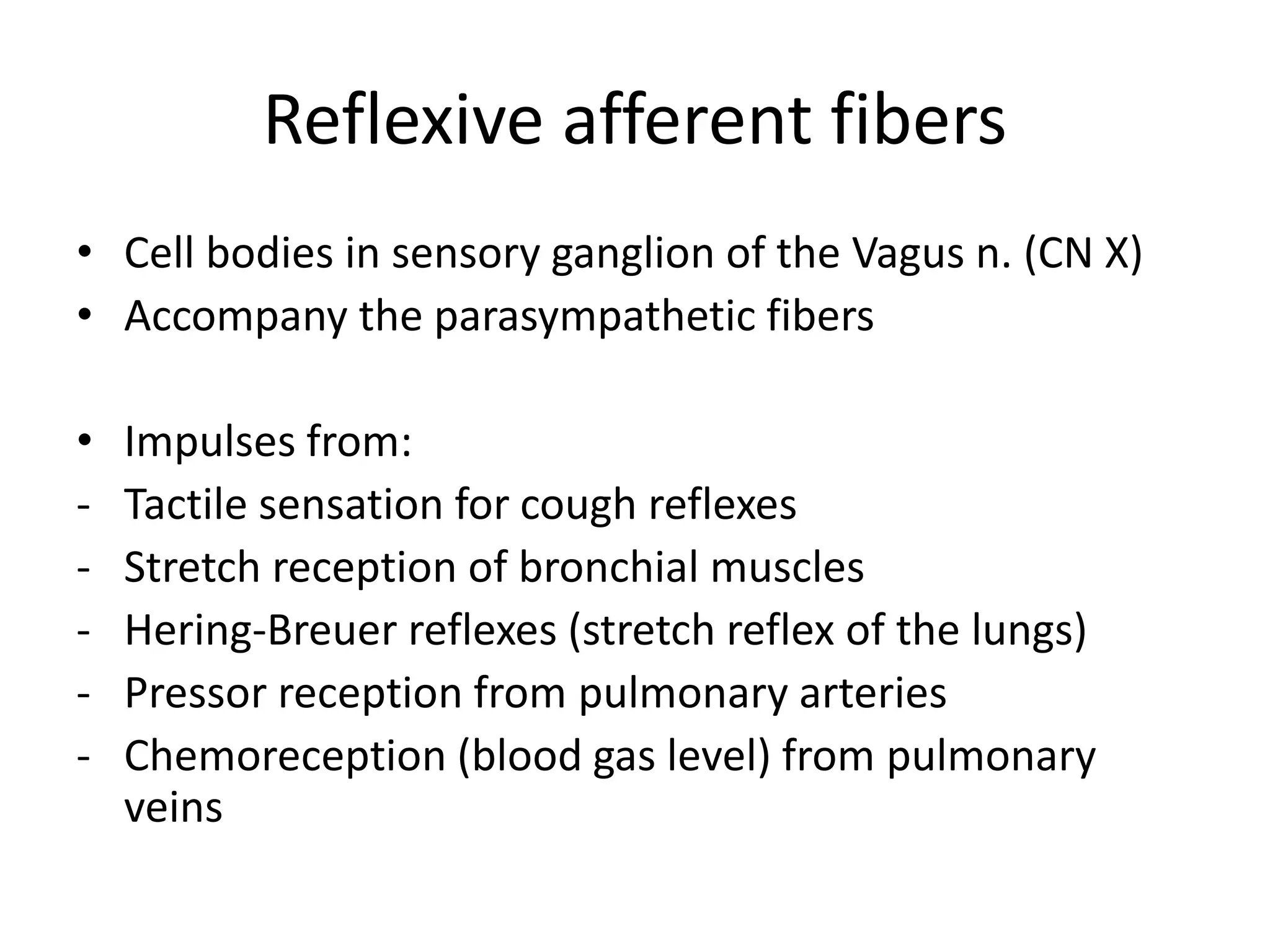 Nerve supply of the lungs | PPTX