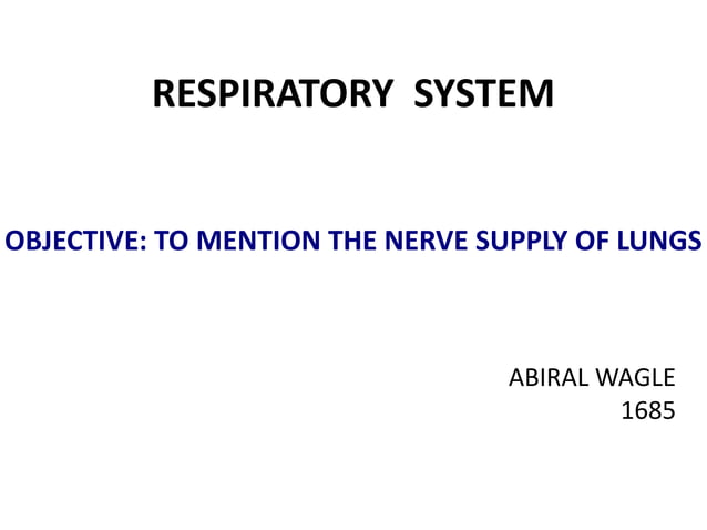 Nerve supply of the lungs | PPTX