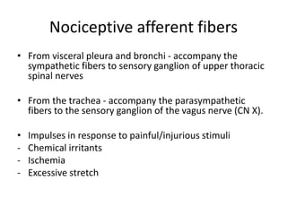 Nerve supply of the lungs | PPTX