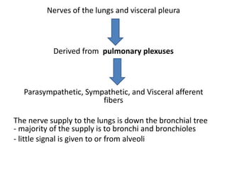 Nerve supply of the lungs | PPTX