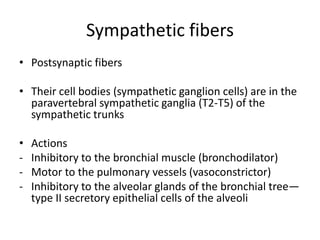 Nerve supply of the lungs | PPTX