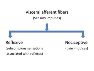 Nerve supply of the lungs | PPTX