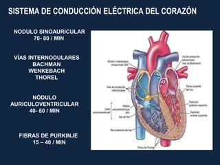 ELECTROCARDIOGRAMA para estudio de medicina | PPTX