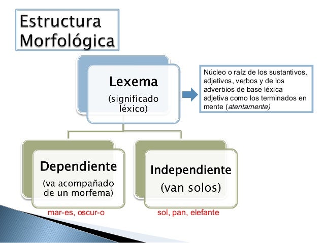 La estructura de las palabras