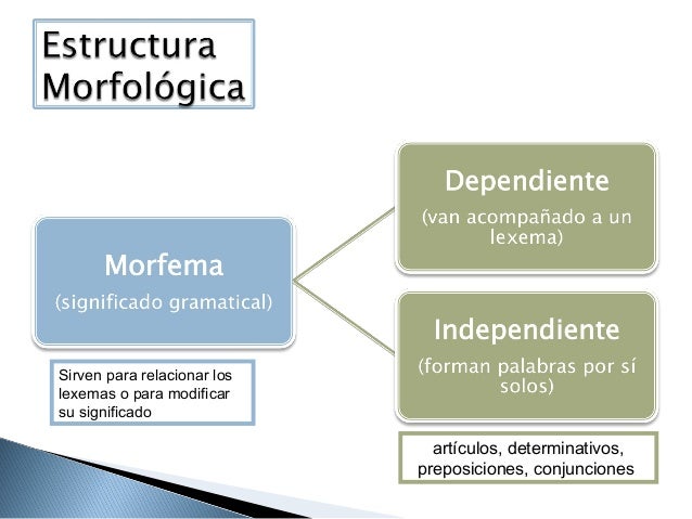 La estructura de las palabras