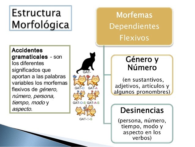 La estructura de las palabras
