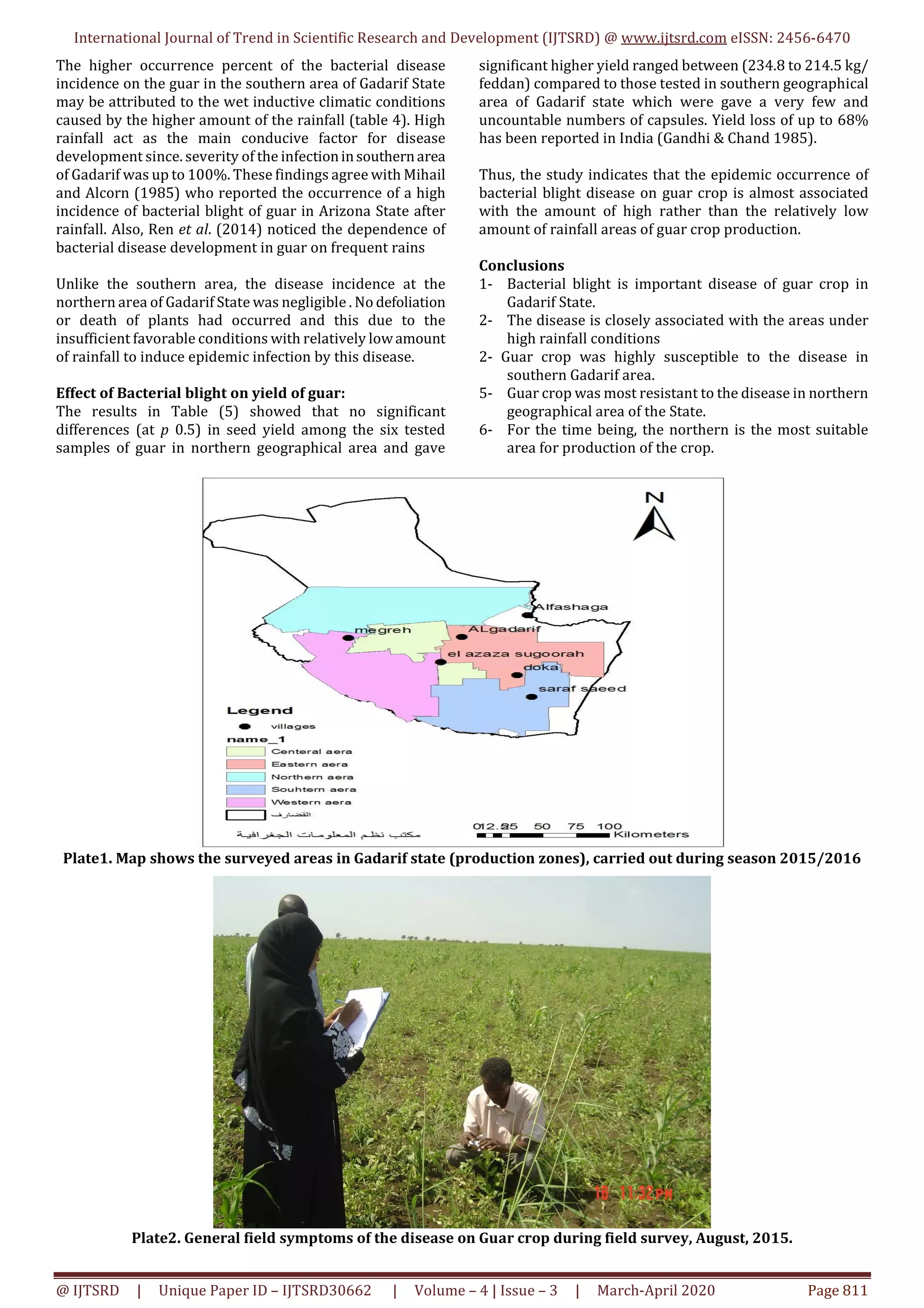 Identification and Evaluation of Bacterial Blight Occurrence on Guar ...