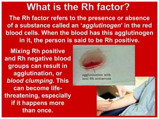 Anatomy-Blood-Lymphatic-System.ppt