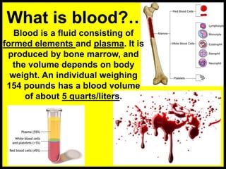 Anatomy-Blood-Lymphatic-System.ppt