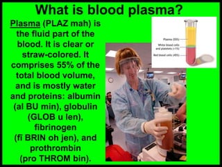 Anatomy-Blood-Lymphatic-System.ppt