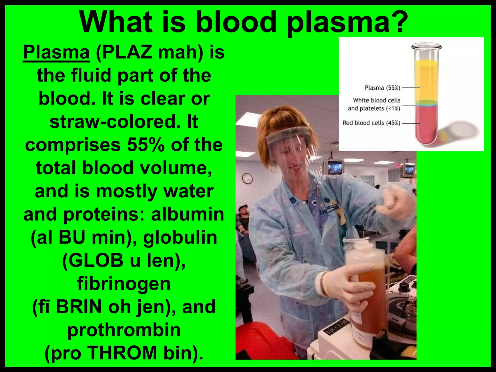 169-Anatomy-Blood-Lymphatic-System.ppt